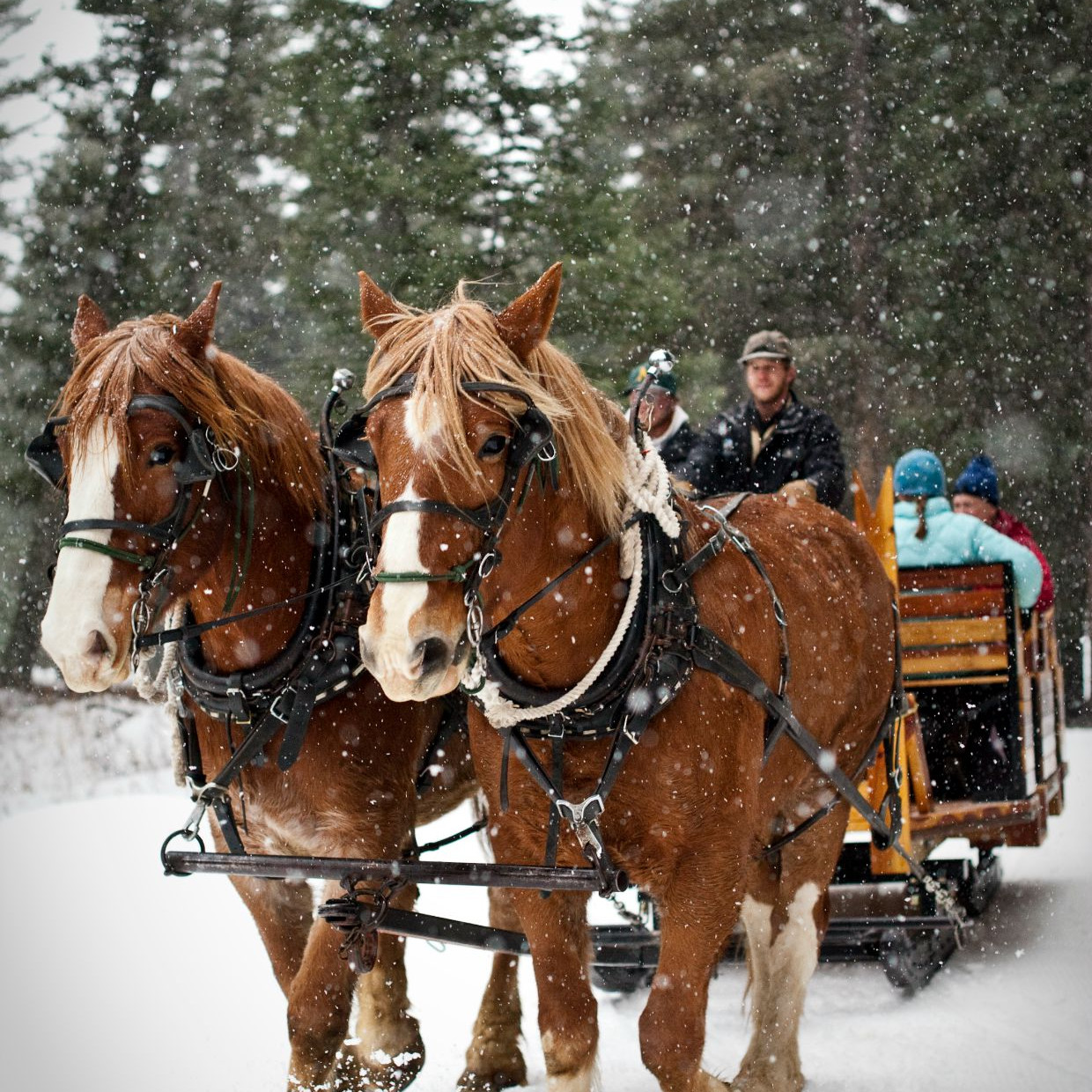 Lone Mountain Ranch – DELGER REAL ESTATE – BIG SKY